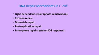 DNA repair mechanism | PPTX