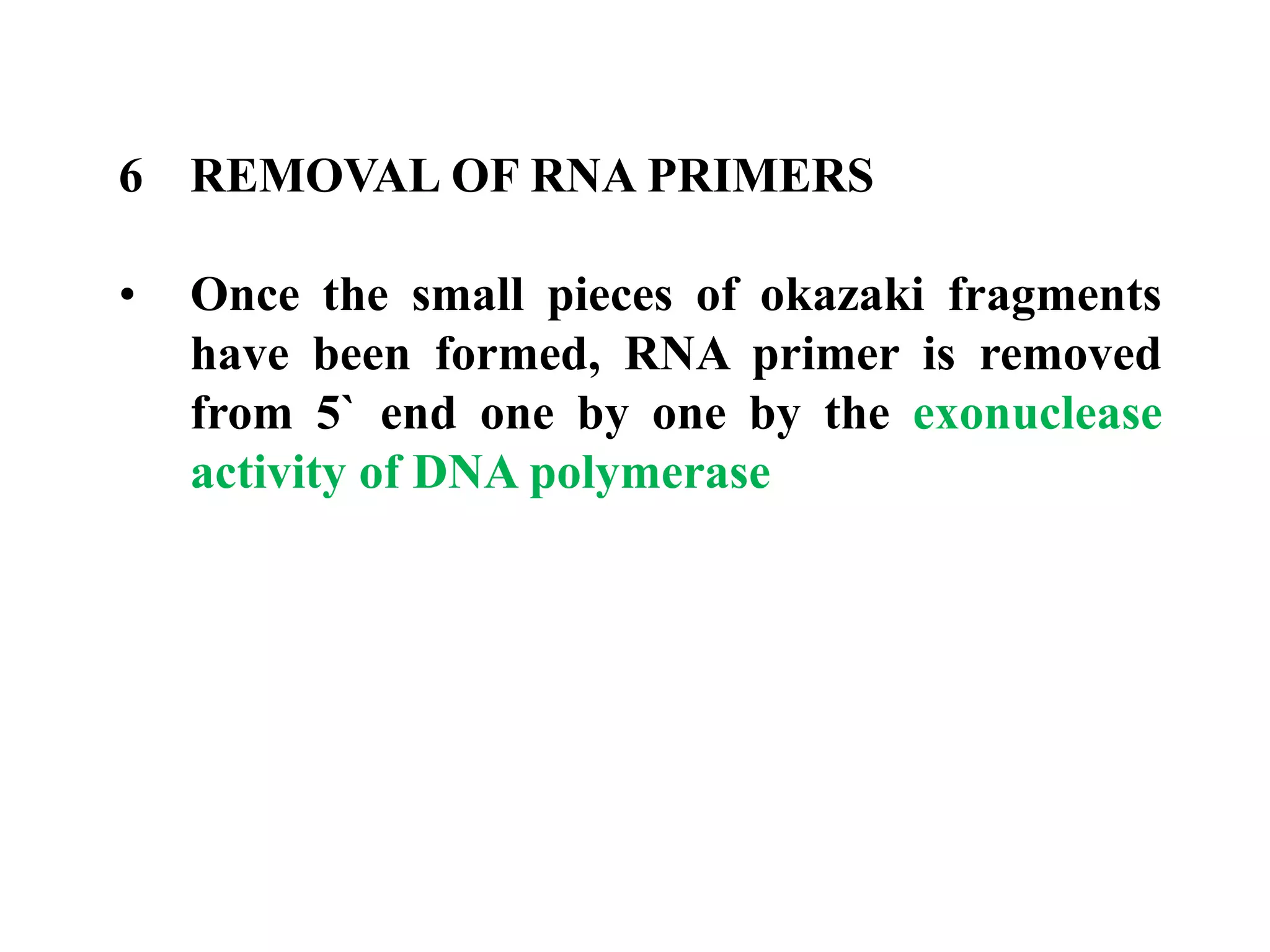 DNA replication | PPT