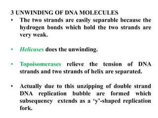 DNA replication | PPT
