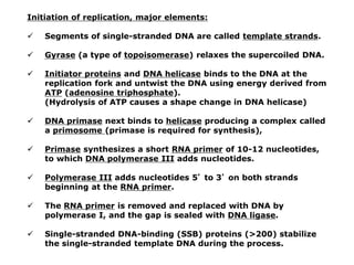 DNA replication | PPT