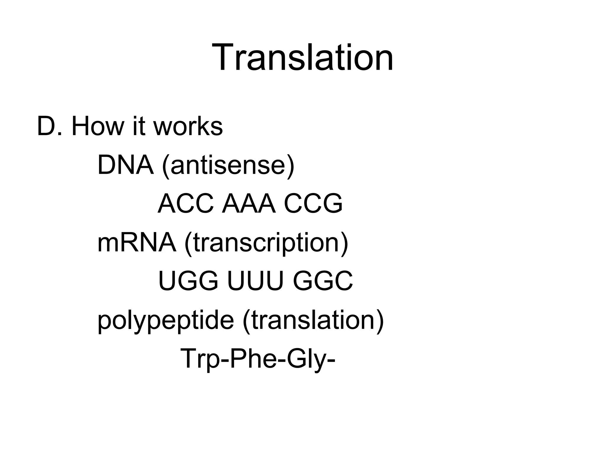Translation | PPT
