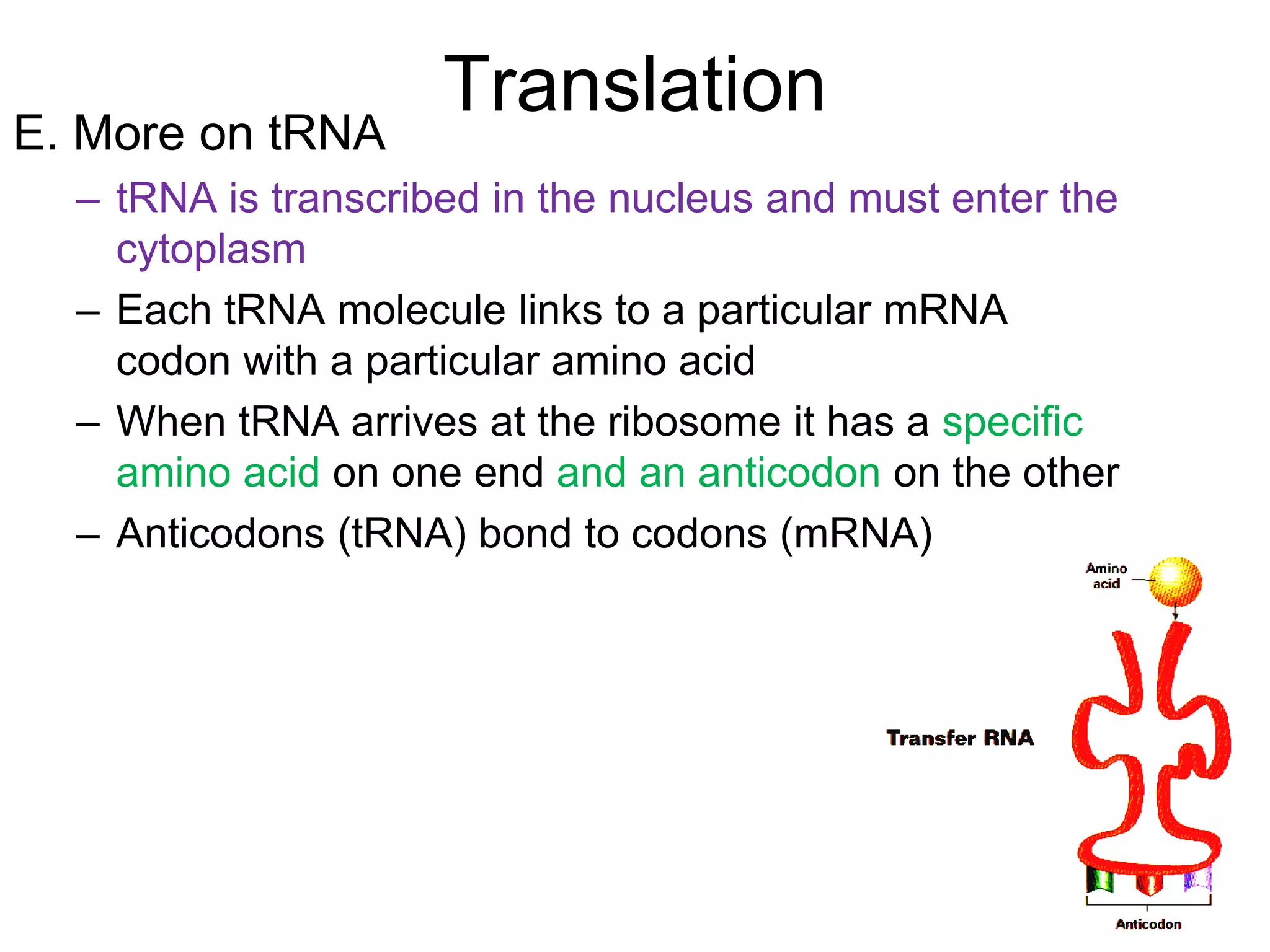 Translation | PPT