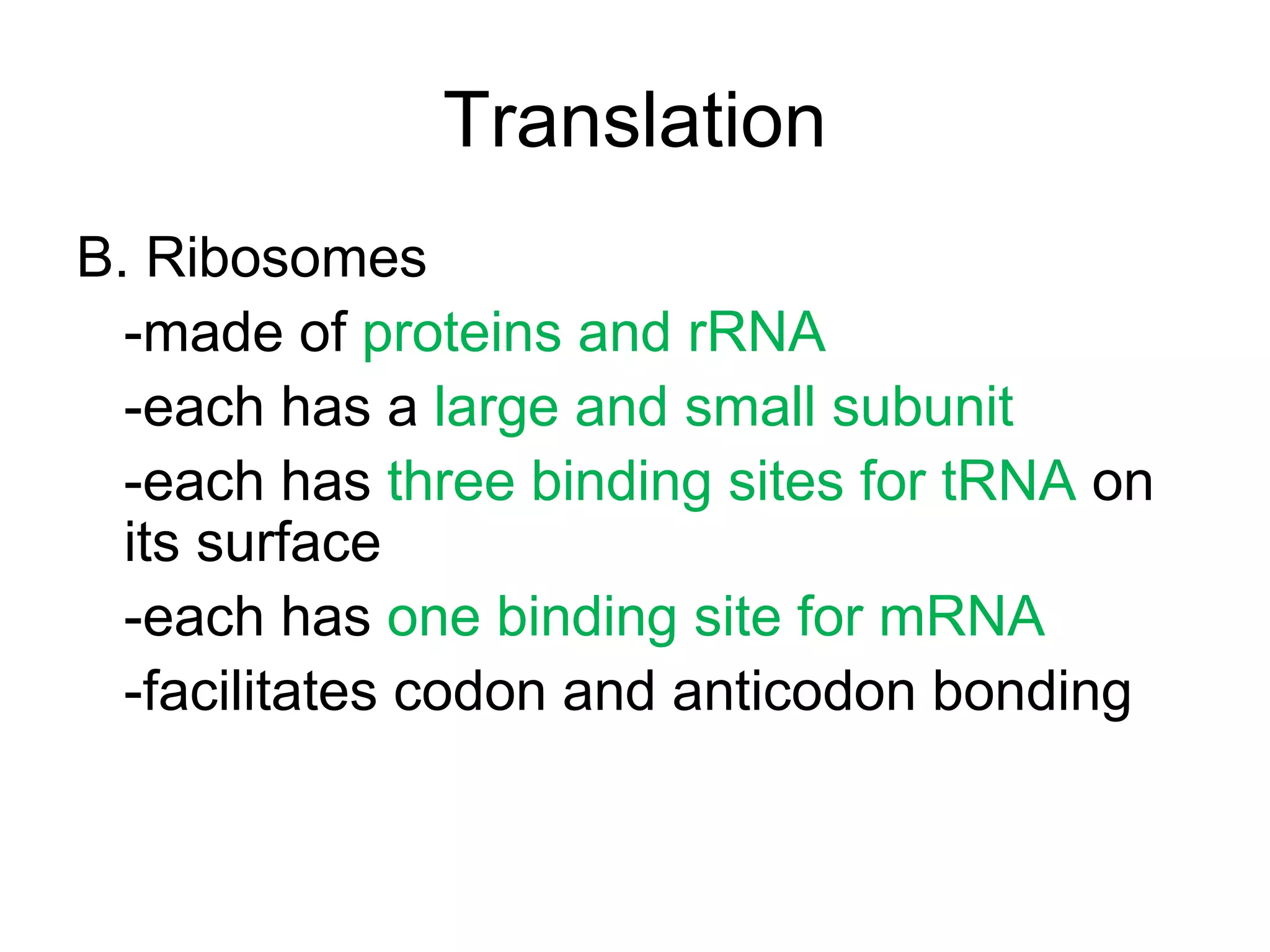 Translation | PPT
