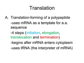 Translation | PPT