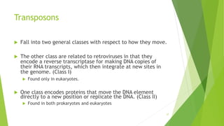 Transposons | PPTX