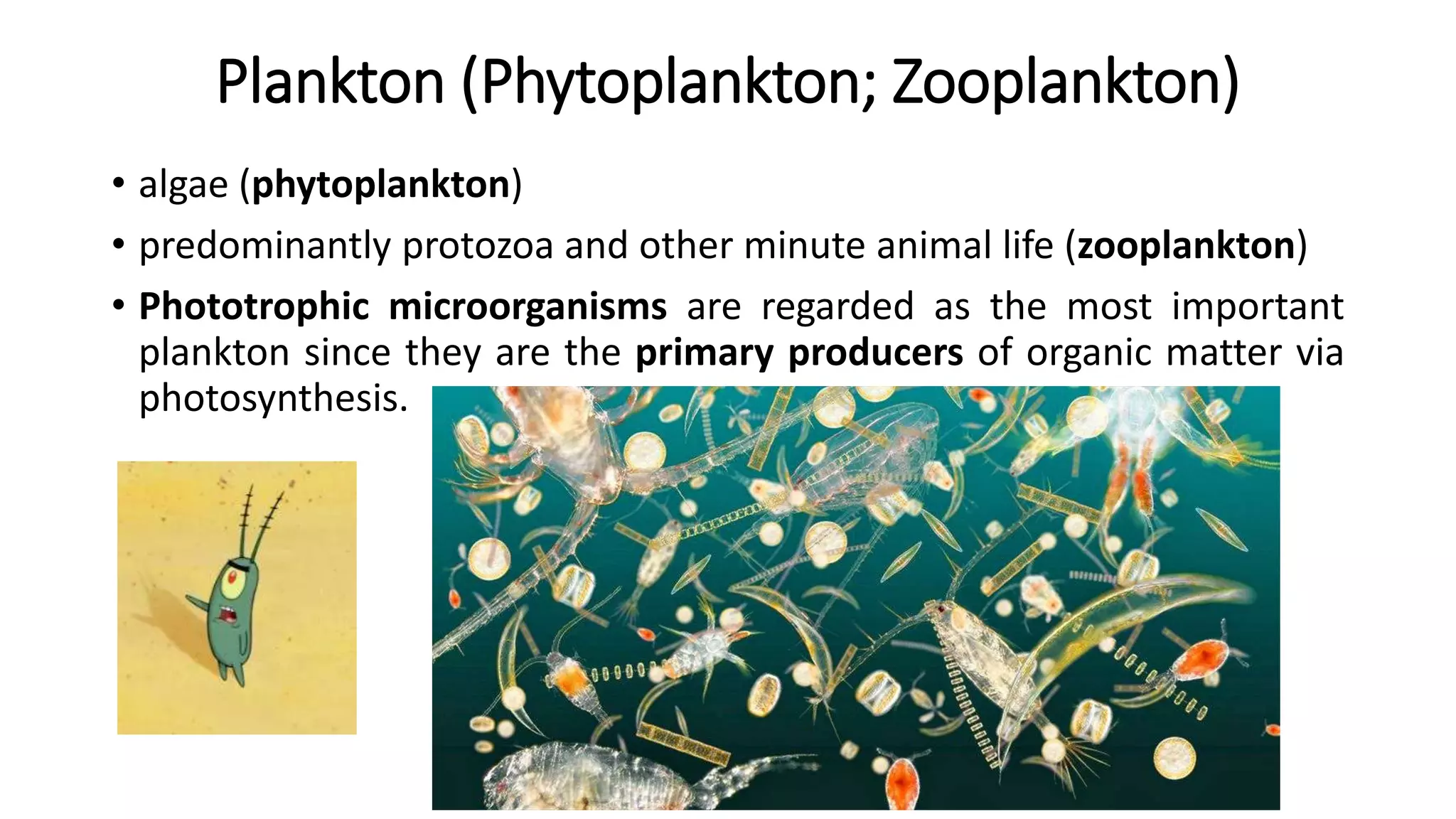 Distribution of microbes in aquatic environment | PPTX