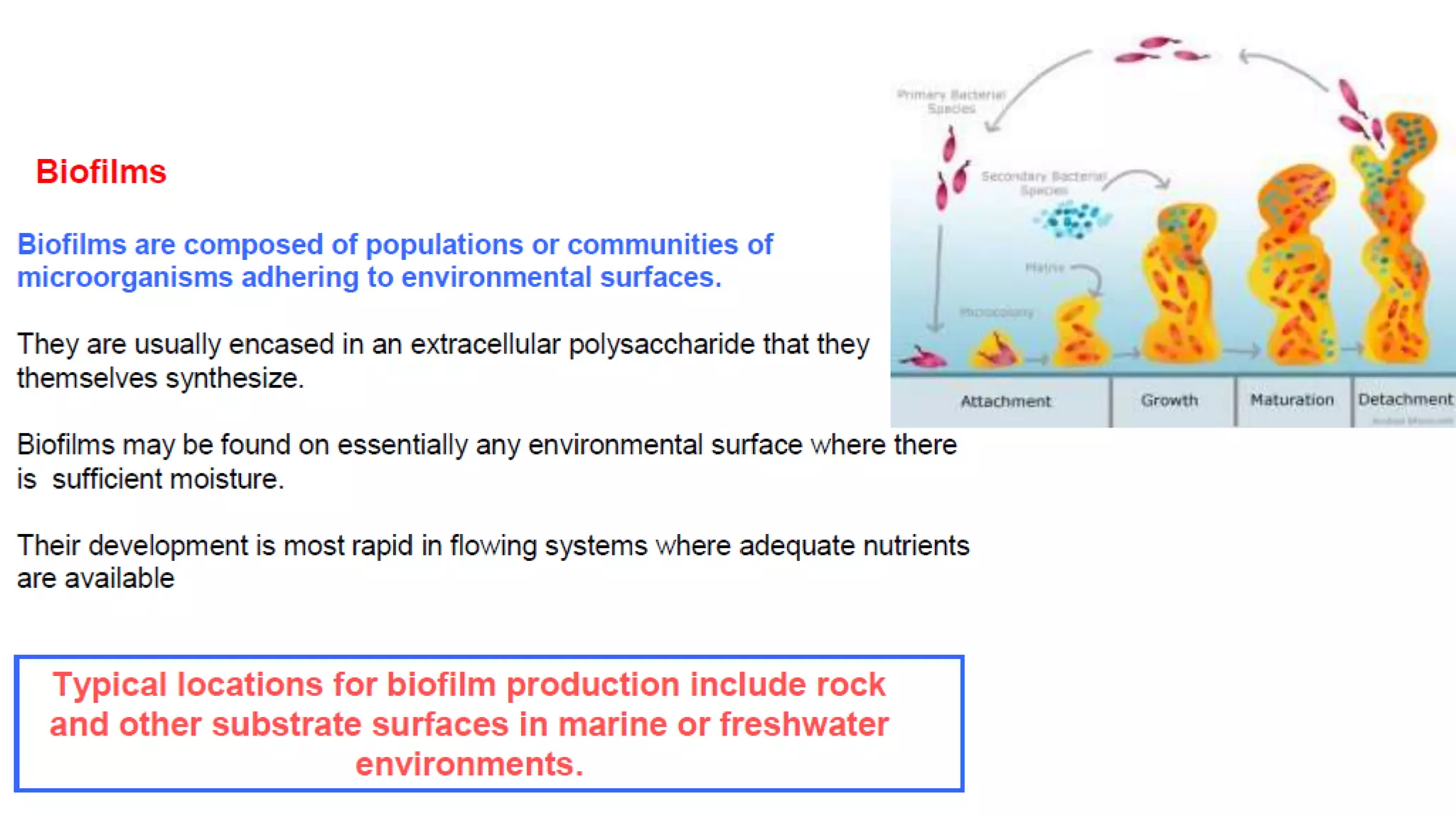 Distribution of microbes in aquatic environment | PPTX