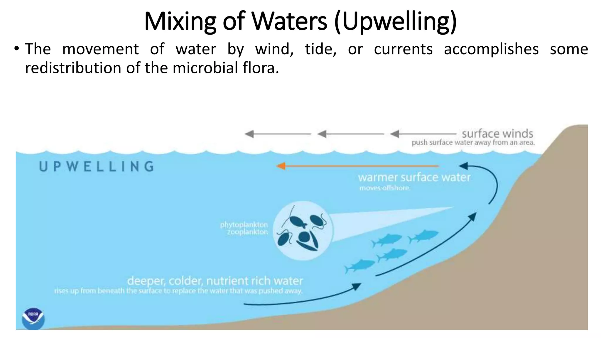 Distribution of microbes in aquatic environment | PPTX