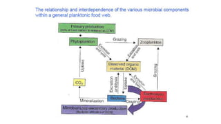 Distribution of microbes in aquatic environment | PPTX
