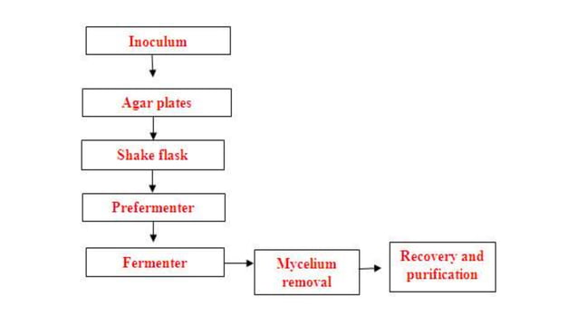 Antibiotic production
