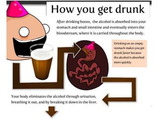Beer production | PPT