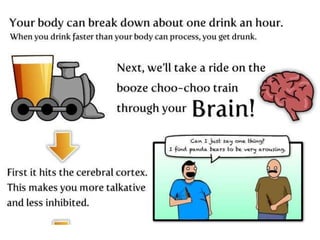 Beer production | PPT