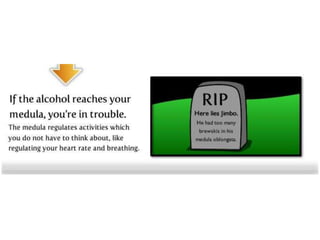 Beer production | PPT
