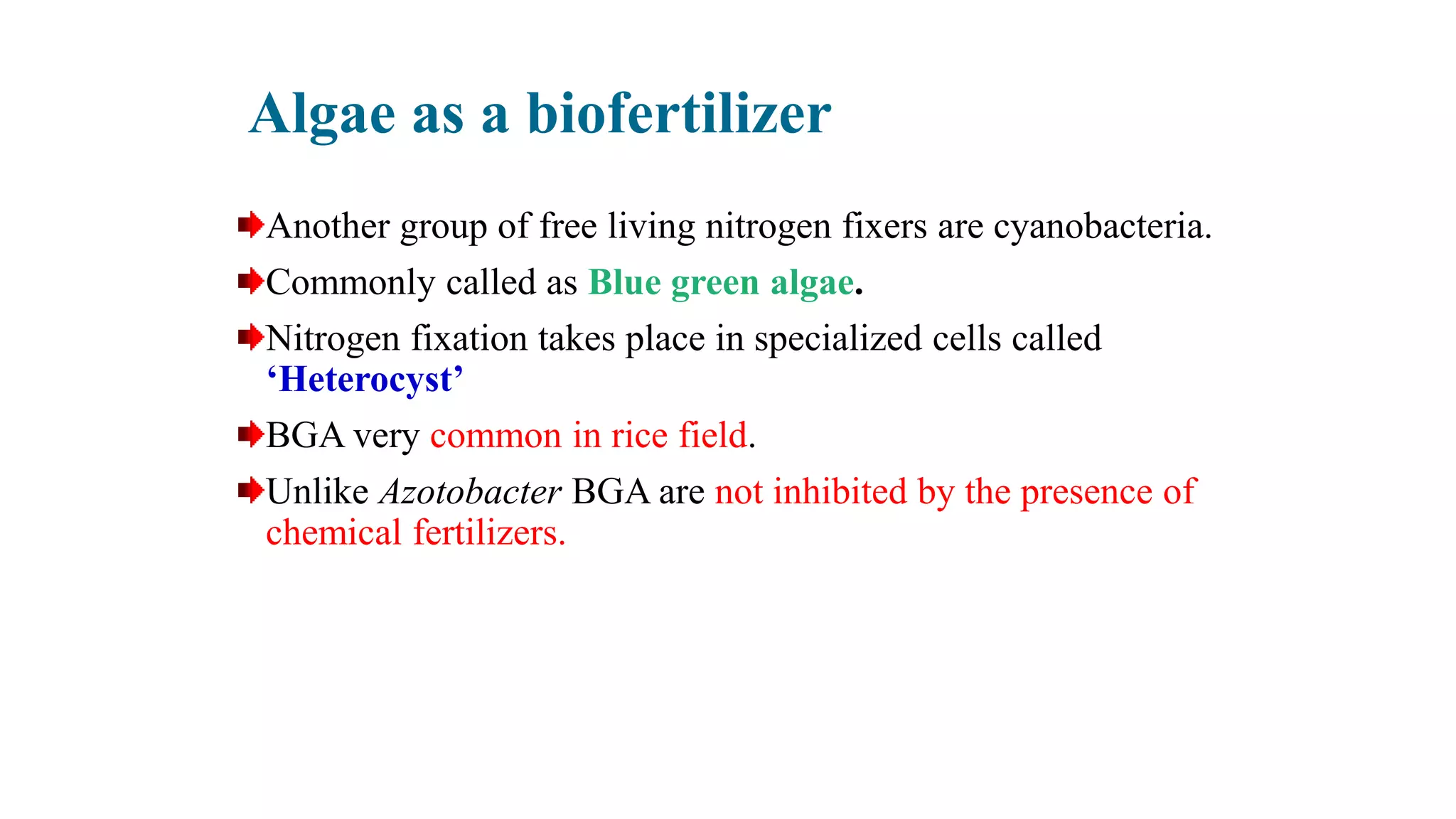 Biofertilizer | PPTX