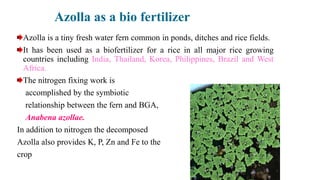 Biofertilizer | PPTX