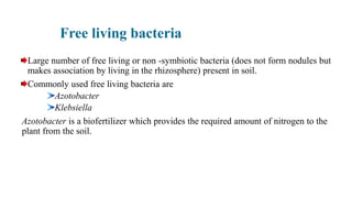 Biofertilizer | PPTX