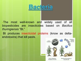 Biopesticides | PPTX | Gardening | Home & Garden