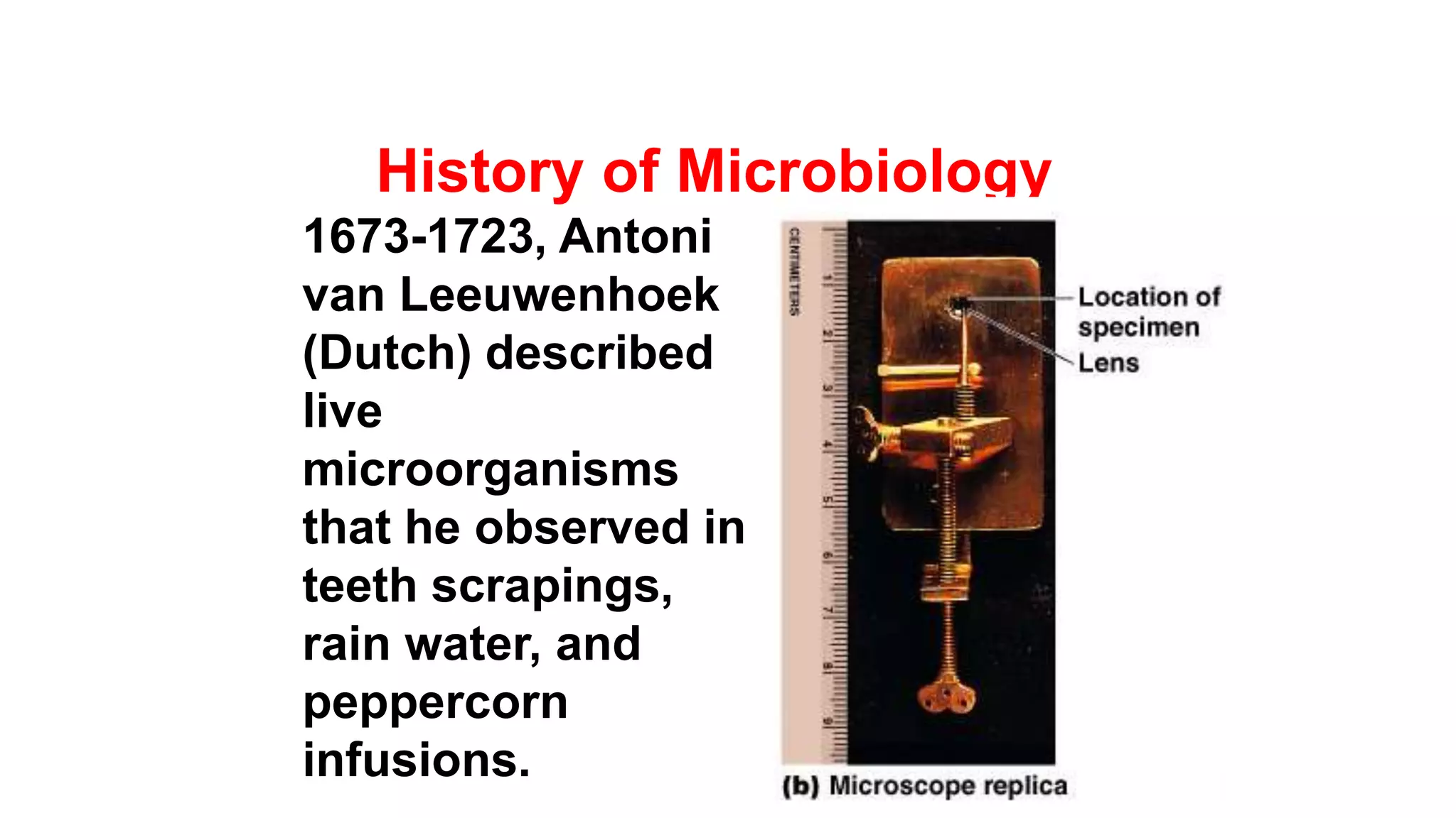 History of microbial biotechnology | PPTX