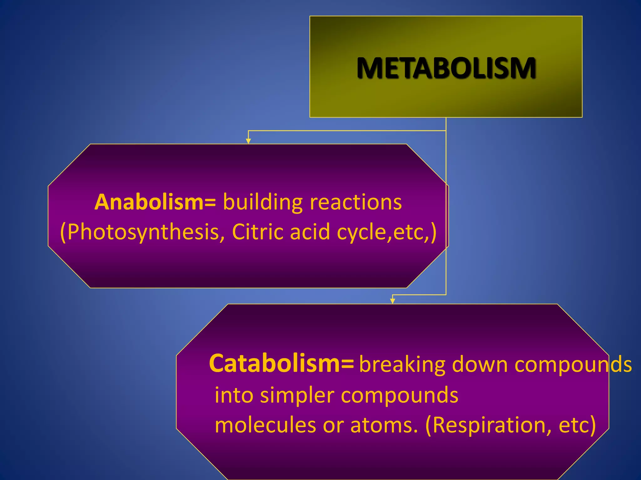 Microbial metabolites | PPTX