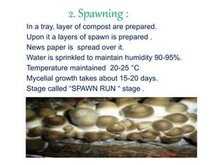 Mushroom cultivation | PPT