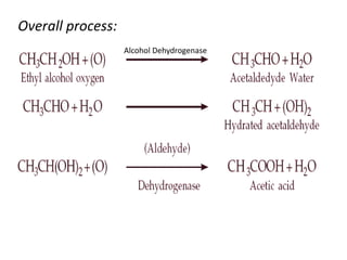 Vinegar (acetic acid) production | PPTX