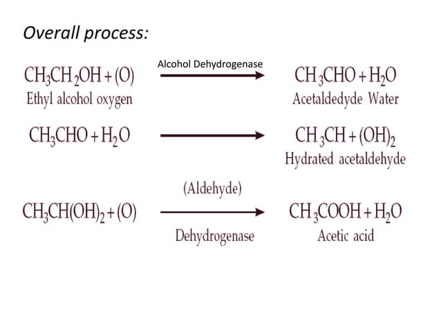 Vinegar (acetic acid) production | PPTX | Alcoholic Beverages | Food ...