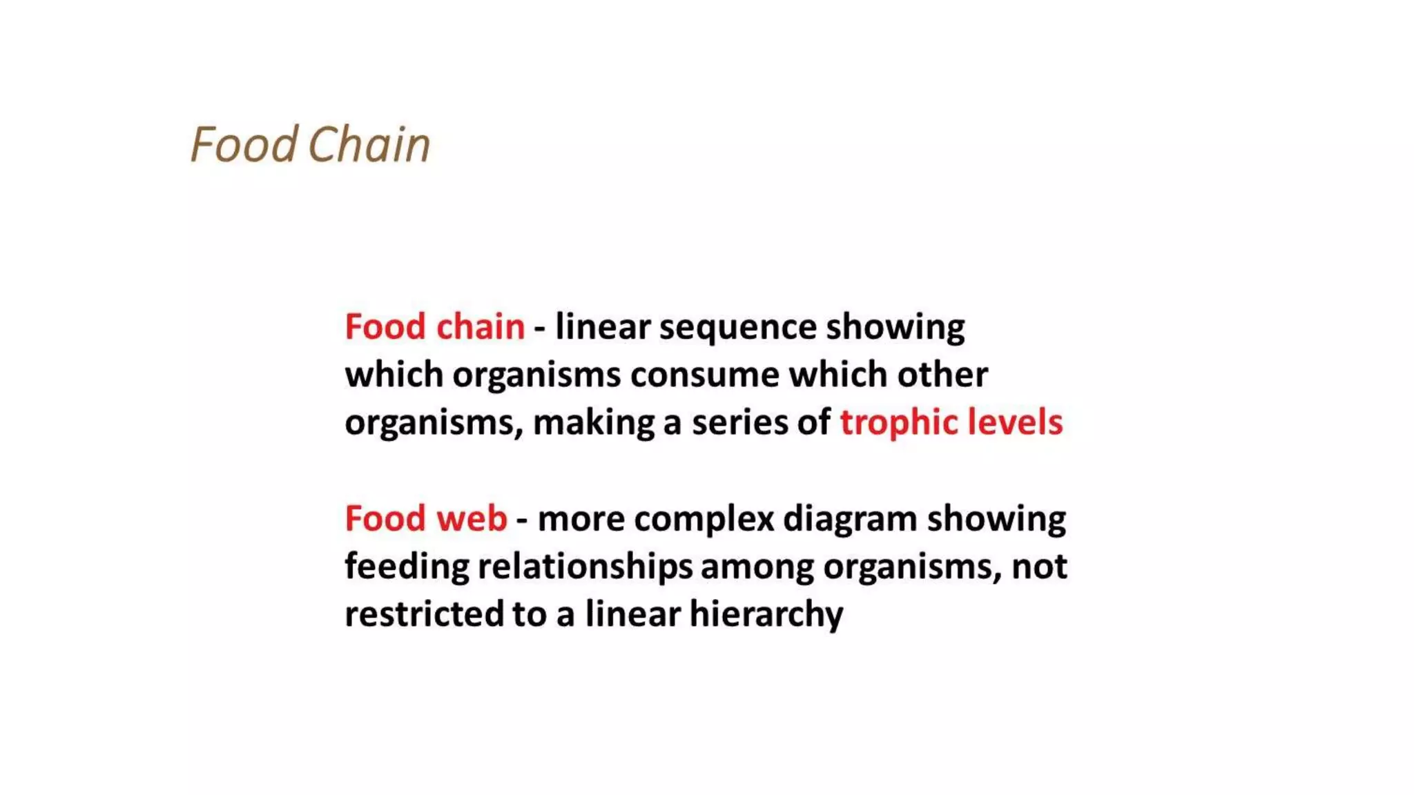 Microbial loop | PPTX