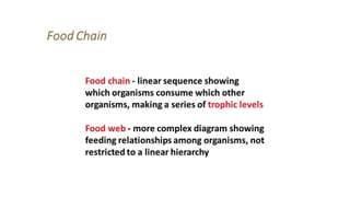Microbial loop | PPTX