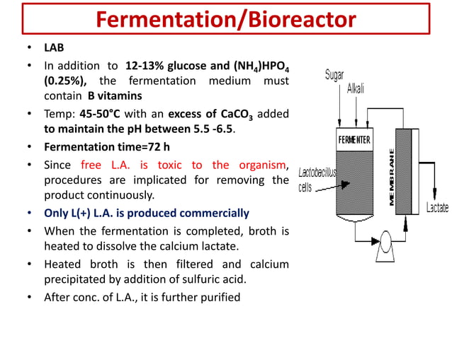 Production of lactic acid | PPTX | Chemistry | Science