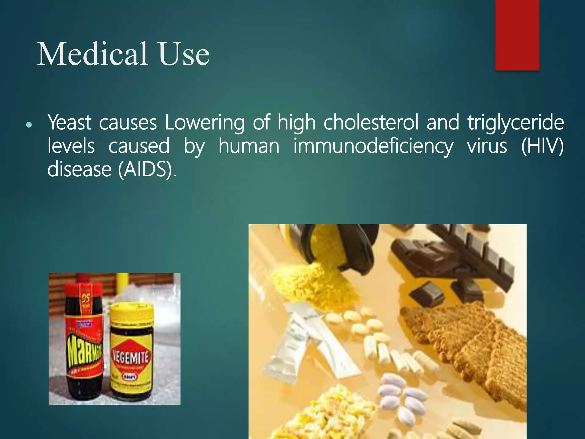 Importance of yeast | PPT