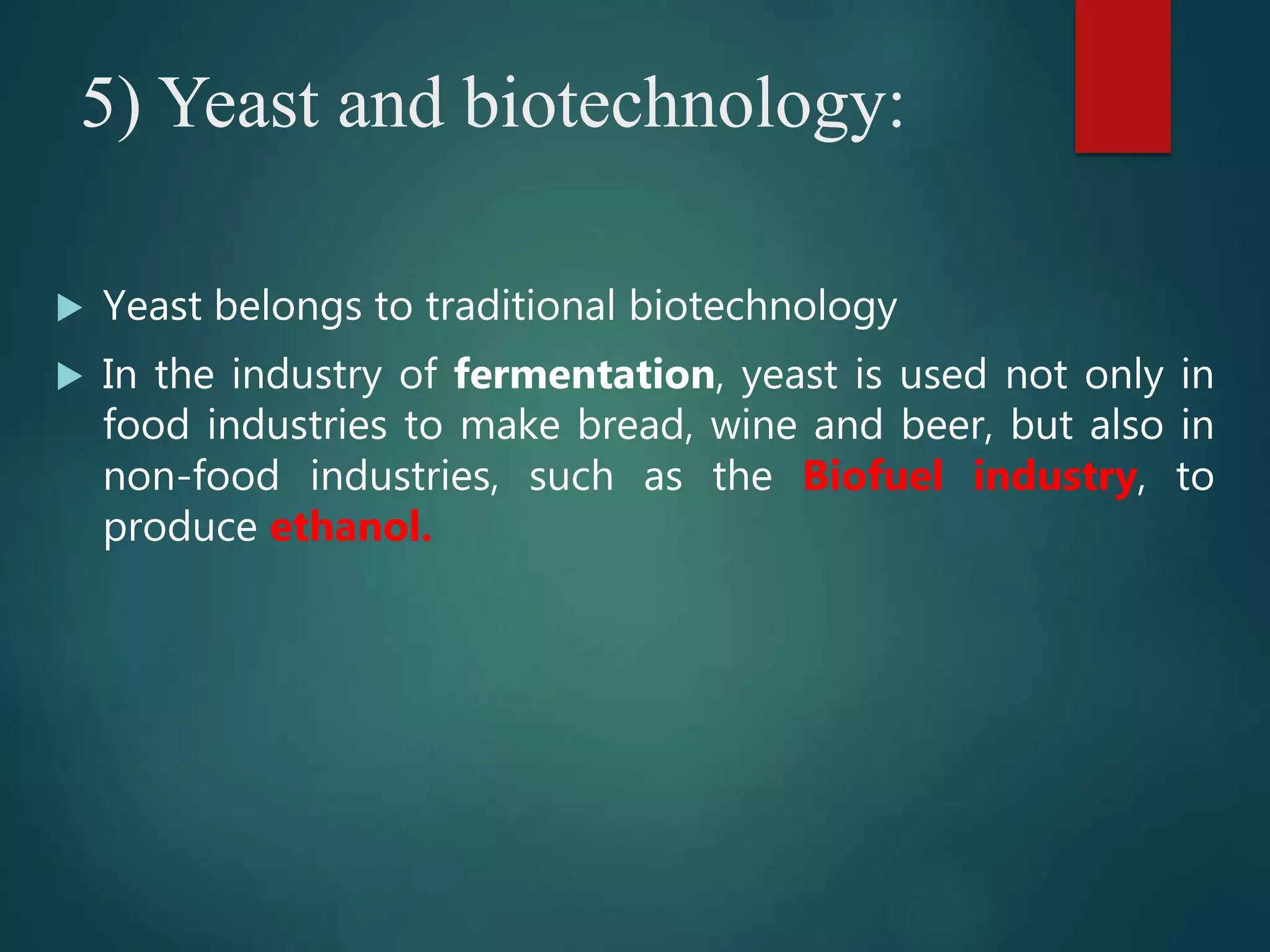 Importance of yeast | PPT
