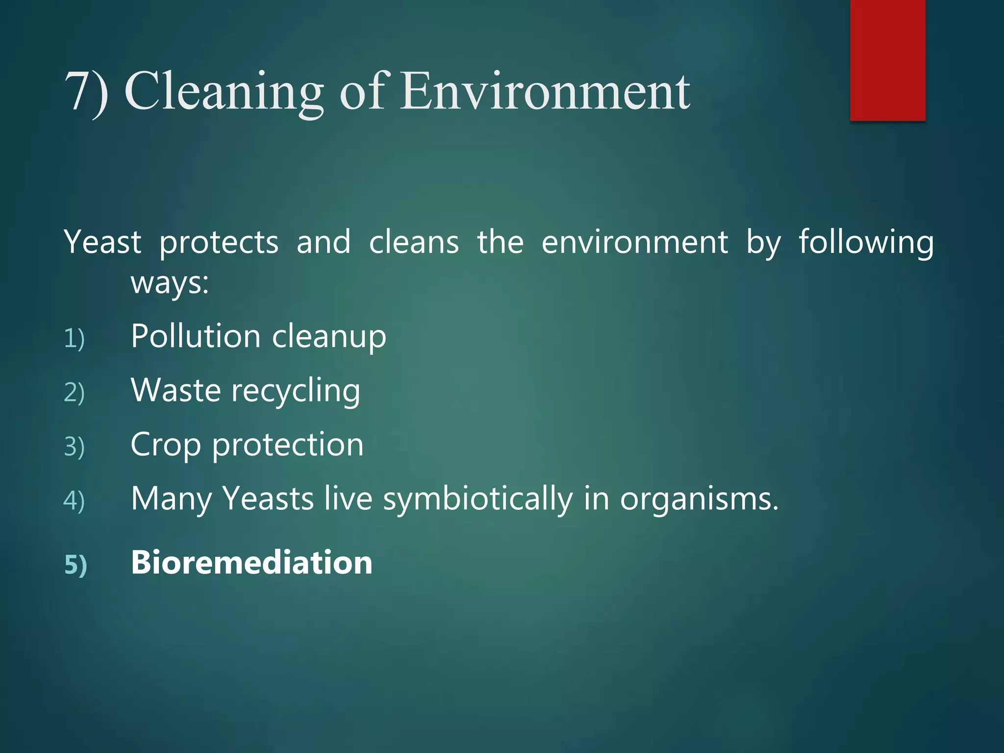 Importance of yeast | PPT