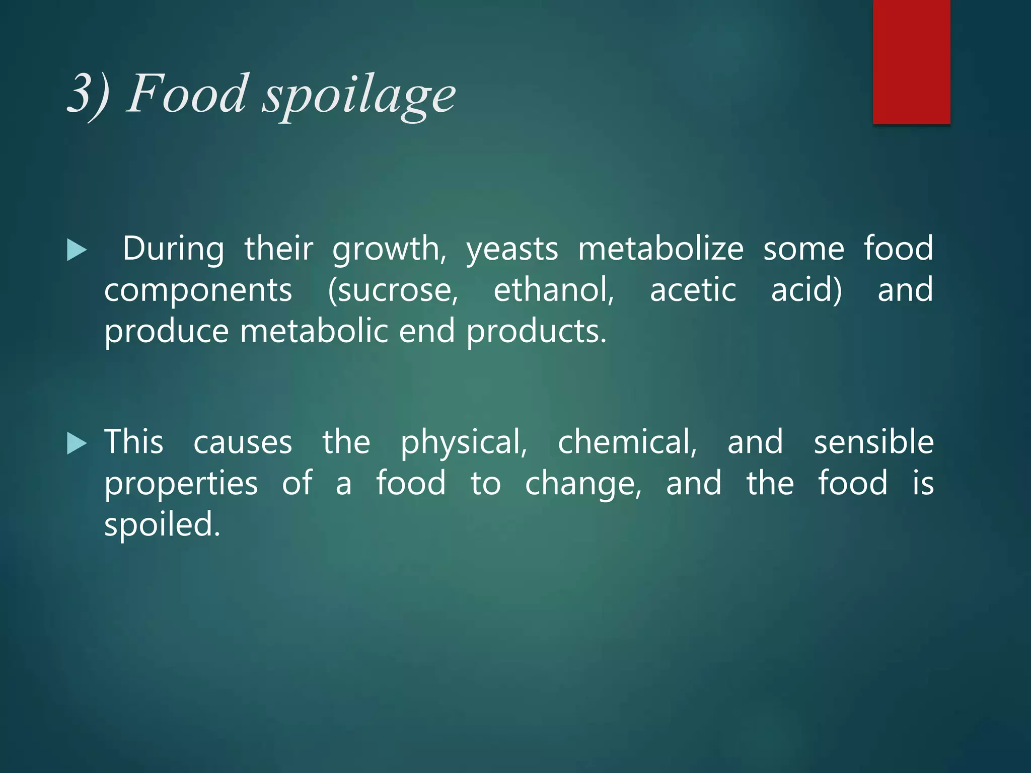 Importance of yeast | PPT