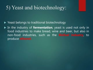 Importance of yeast | PPT