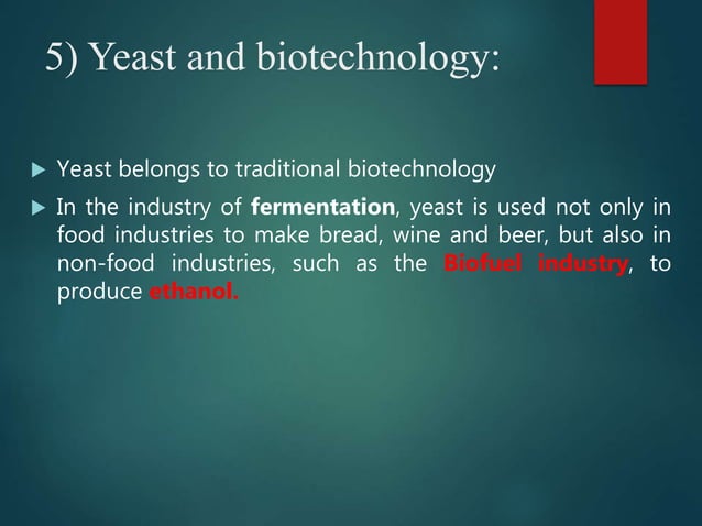 Importance of yeast | PPT | Chemistry | Science