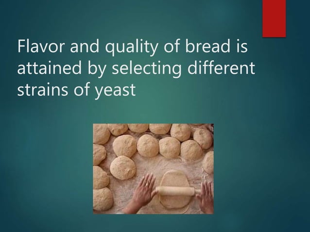 Importance of yeast | PPT | Chemistry | Science