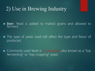 Importance of yeast | PPT