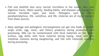 Microbial technology in food industry | PPTX