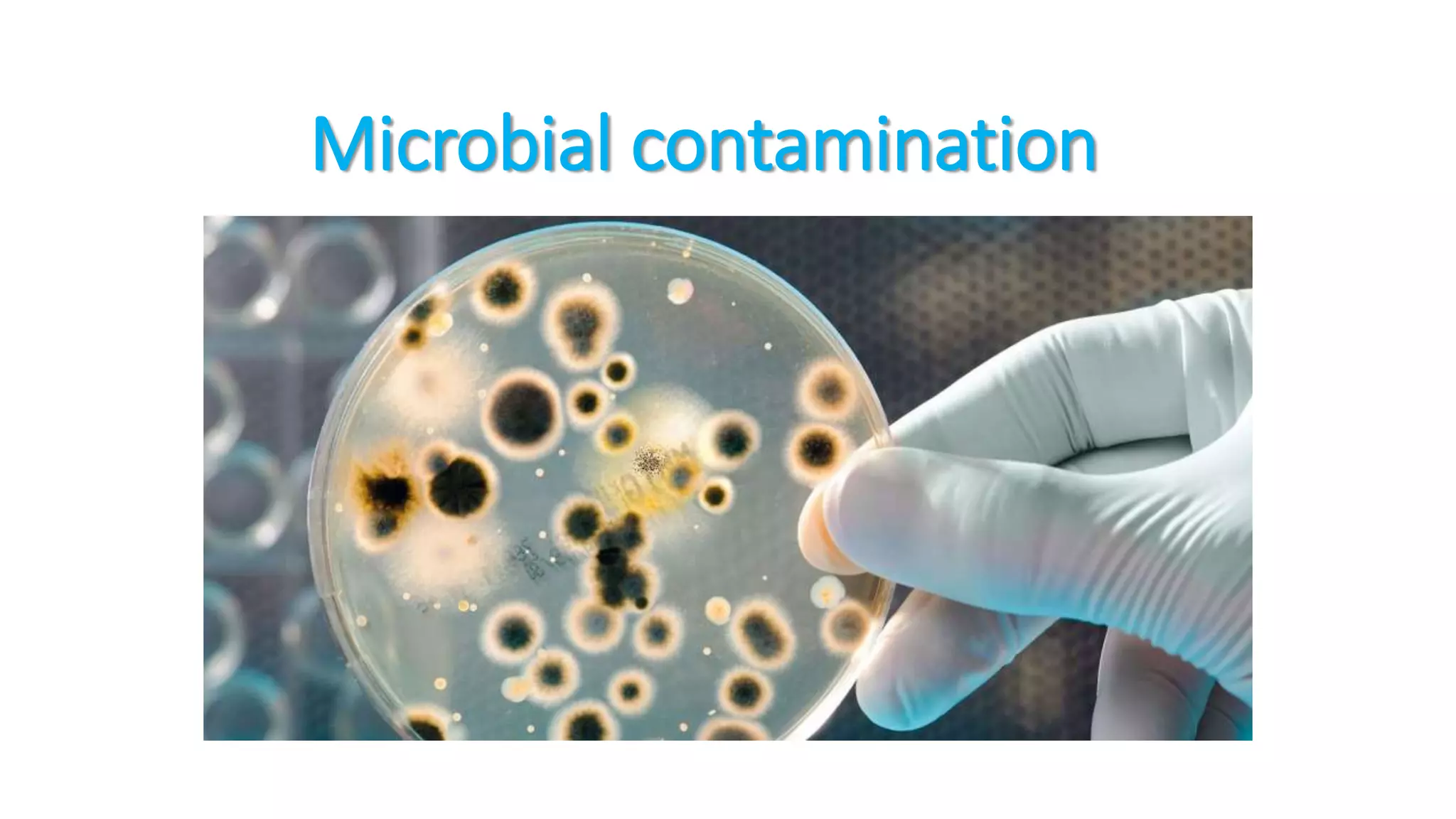 Microbial contamination | PPTX