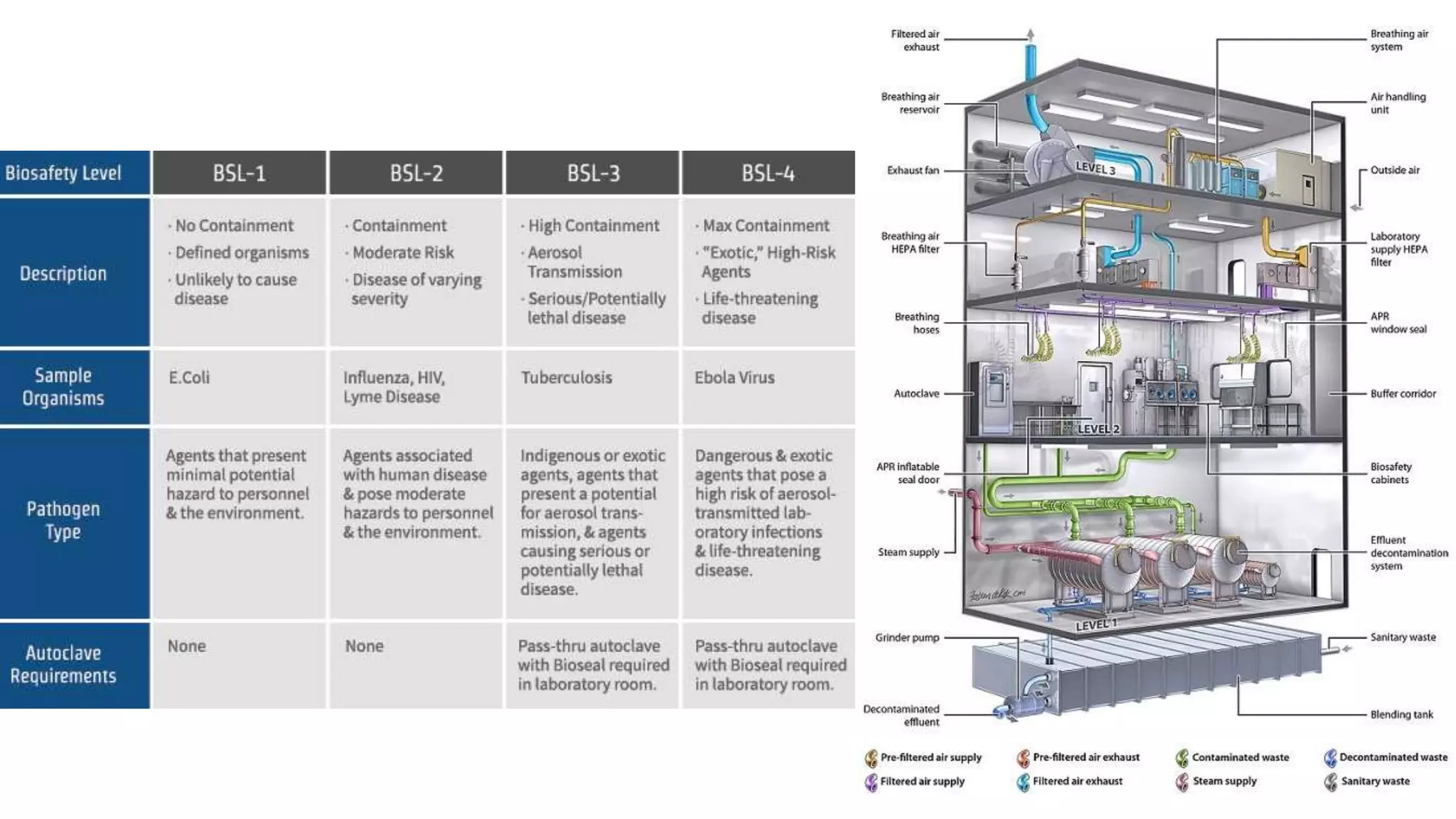 Microbial contamination | PPTX