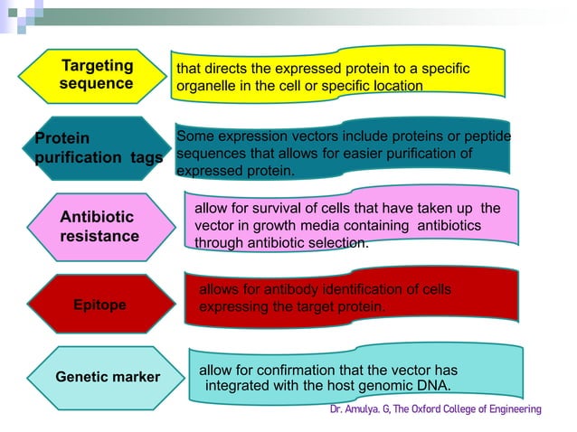 MBGE- Introduction to genetic engineering.pdf