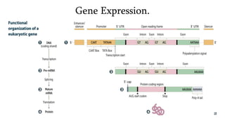 Mb & Genetics 6,its about genetics 🧬🧬🧬 | PPT