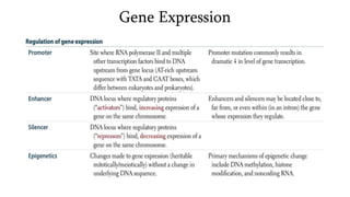 Mb & Genetics 6,its about genetics 🧬🧬🧬 | PPT
