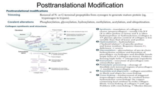 MB & Genetics 7.pptx . | PPT