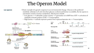 Mb & Genetics 8.pptx. . | PPT