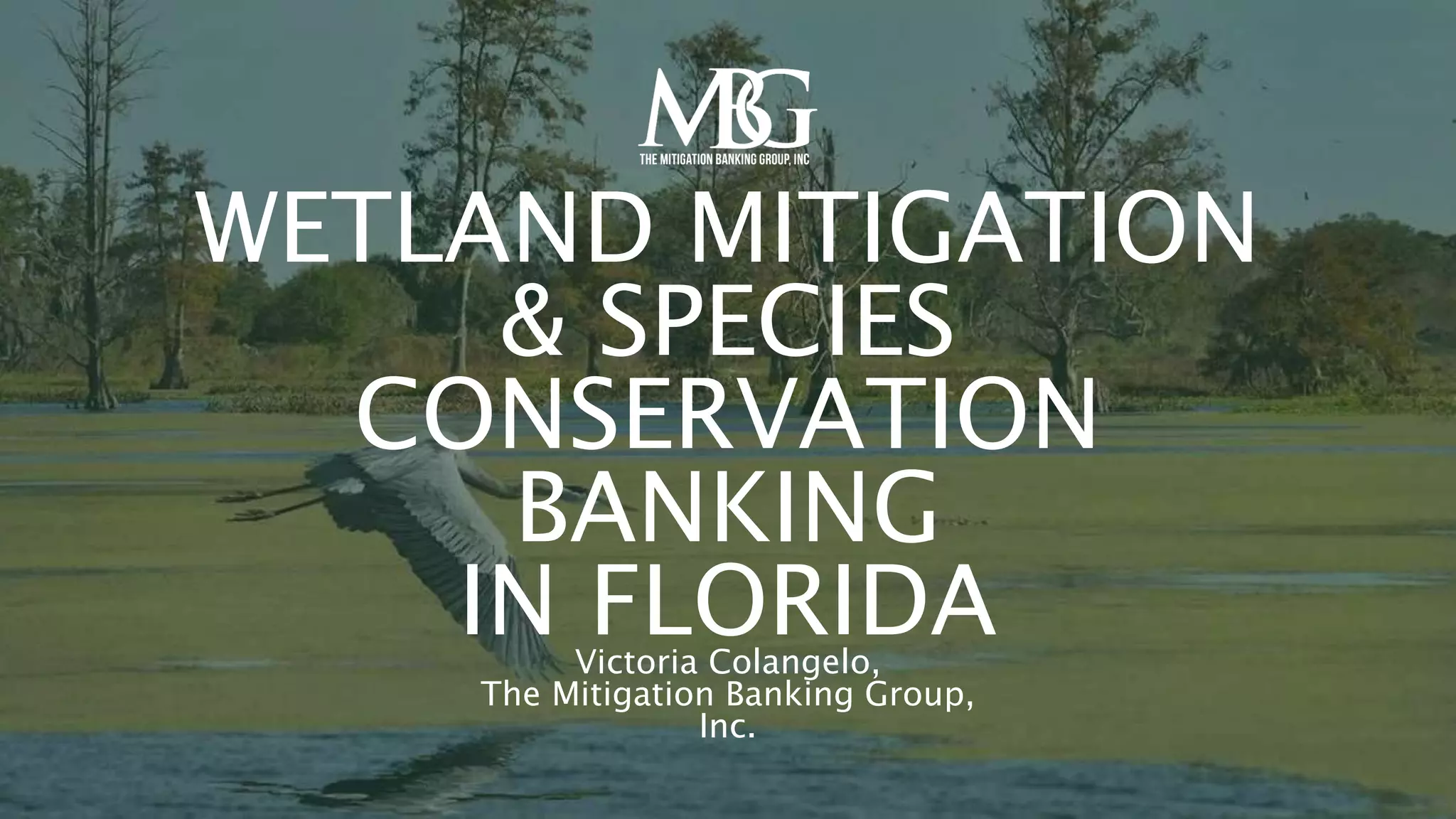 Wetland Mitigation Banking Florida Summer 2021 | PPT