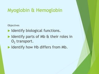 Myoglobin and Hemoglobin | PPT