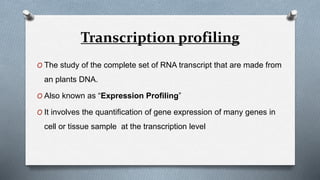 R Gene Expression and Transcription Profiling | PPTX