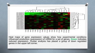 R Gene Expression and Transcription Profiling | PPTX
