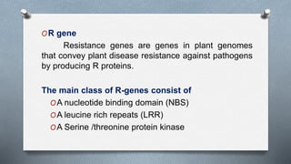 R Gene Expression and Transcription Profiling | PPTX